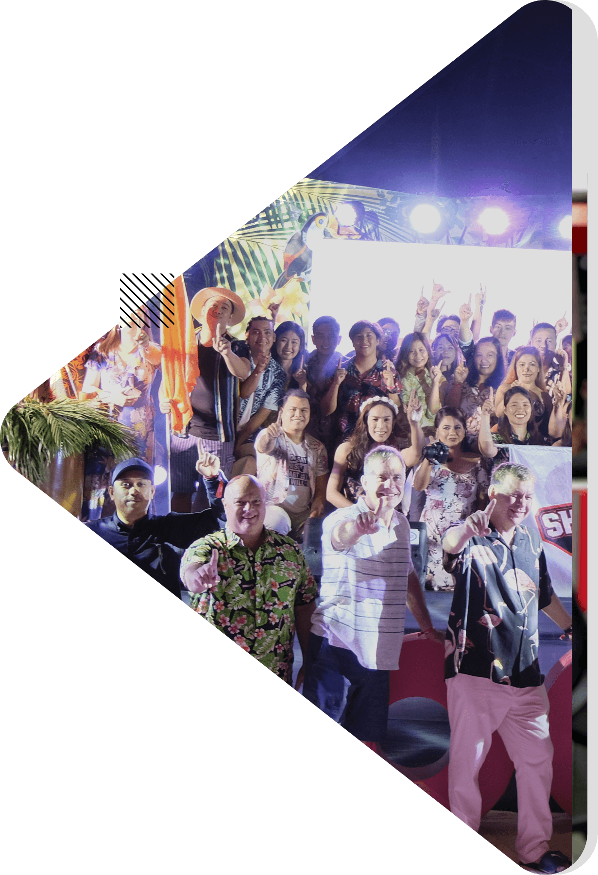 Diversity, Equity and Inclusion at ibex - ibex.